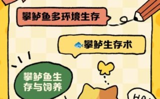 攀鲈鱼养殖技术_攀鲈鱼养殖常见问题