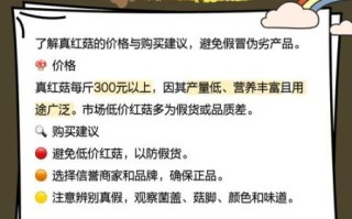 野生红菇多少钱一斤_如何辨别真假