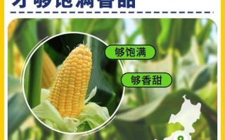 甜玉米粒罐头怎么吃_甜玉米粒罐头做法大全