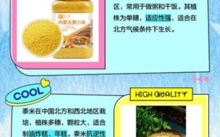 黍米和粟米的区别_哪个更营养