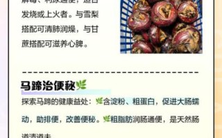 马蹄的营养价值_马蹄可以生吃吗