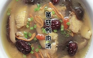 香菇鸭肉汤怎么炖好喝_香菇鸭肉汤的功效与禁忌