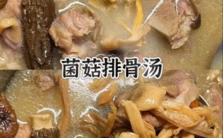 香菇排骨汤怎么炖好喝_香菇排骨汤的做法步骤