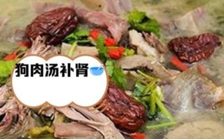 正宗清汤狗肉的做法_如何去除膻味