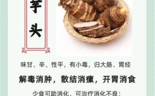 芋头不能和什么一起吃_芋头最佳搭配食材推荐