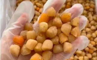 鲜贝是什么做的_鲜贝和干贝区别在哪