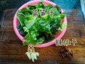 清炒莴苣叶子怎么做_莴苣叶怎么炒才脆嫩