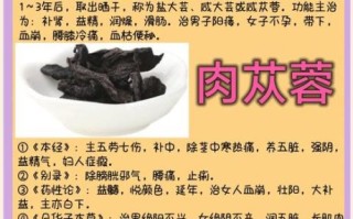 肉苁蓉能提高性功能吗_肉苁蓉怎么吃效果最好