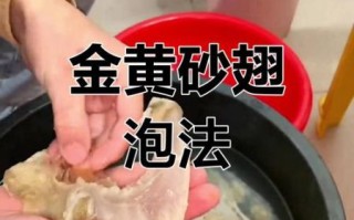 鱼翅怎么吃_鱼翅怎么泡发