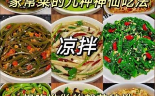 凉菜大全有哪些_家常凉菜怎么做