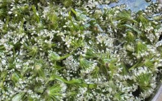 韭菜酱怎么保存_韭菜酱的做法大全家常