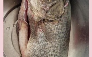 清蒸鳜鱼怎么蒸不腥_清蒸鳜鱼蒸几分钟口感最佳