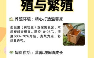 黄粉虫怎么养_黄粉虫价格多少钱一斤