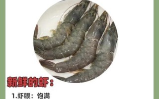 海捕大虾是什么虾_海捕大虾和养殖虾区别