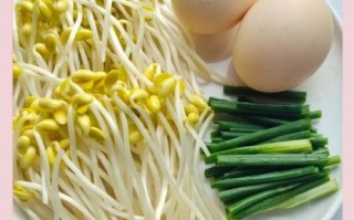 素炒豆芽怎么炒好吃_素炒豆芽的家常做法