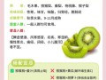 猕猴桃对身体有什么好处_吃猕猴桃能减肥吗