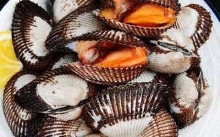 毛哈利怎么做_毛哈利做法步骤