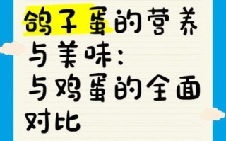 鸽子蛋营养比鸡蛋好吗_鸽子蛋和鸡蛋的区别