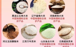 中国十大最好吃的大米有哪些_口感排名