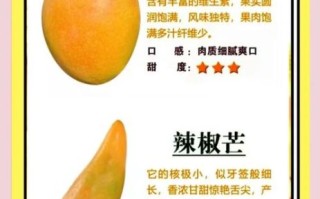 芒果图片大全_芒果品种怎么区分