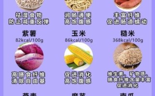 减肥期间吃什么食物最好_瘦身必吃的低卡高纤食物