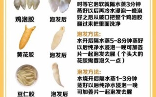 鱼胶怎么泡发_鱼胶炖多久才软糯