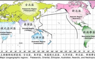 动物地理区有哪些_动物地理区如何划分