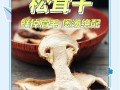 干松茸怎么泡发_干松茸的家常做法