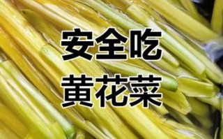 鲜黄花菜怎么焯水去毒_鲜黄花菜的做法大全