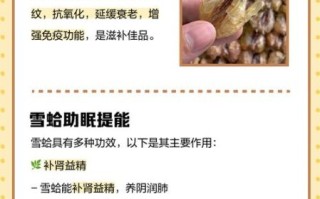 雪蛤男人多久吃一次_雪蛤男人一周吃几次合适