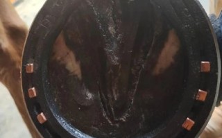 马蹄铁是什么时候发明的_马蹄铁发明时间