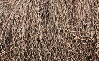 干豆角多少钱一斤_干豆角价格行情