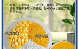 五谷豆浆怎么做_五谷豆浆做法步骤