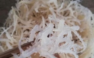 龙须菜长什么样_龙须菜和石花菜区别