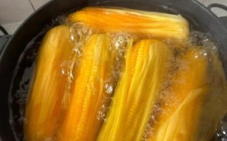 煮玉米放一晚上会坏吗_隔夜玉米还能吃吗