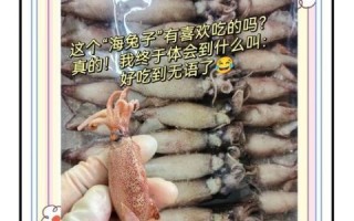 海兔怎么做好吃_海兔的家常做法大全