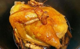 五指毛桃焗鸡怎么做_五指毛桃焗鸡做法步骤