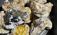 海蛎子怎么清洗_海蛎子蒸多久才熟