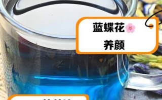 蓝蝴蝶花泡水喝的功效_蓝蝴蝶花泡水可以天天喝吗