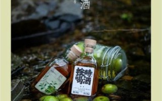 青梅酒的功效与副作用_青梅酒适合什么人喝