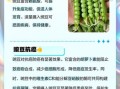 大豌豆的功效与作用_大豌豆怎么吃最营养