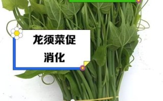 龙须菜的营养价值及功效与作用_龙须菜怎么吃最健康