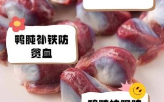 鸭胗的功效与作用_鸭胗怎么吃最营养