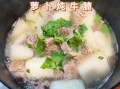 怎样炖牛肉萝卜好吃又简单_牛肉萝卜怎么炖不柴