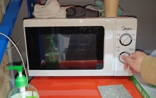 微波炉烧烤架正确放哪里_微波炉烧烤架怎么用