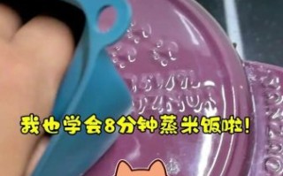 隔水蒸米饭怎么做_隔水蒸米饭要多长时间