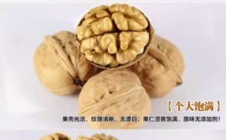 纸皮核桃的功效与作用_纸皮核桃一天吃几个最好