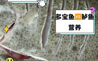 鲈鱼和多宝鱼哪个营养价值高_孕妇吃哪种更好