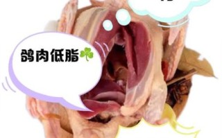 鸽子和鸡哪个营养高_鸽子和鸡营养价值对比