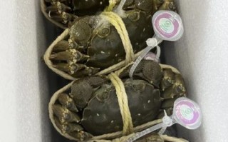 阳澄湖大闸蟹10只多少钱_正宗价格区间